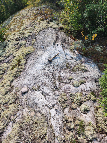 Green Shift Commodities - Armstrong Project